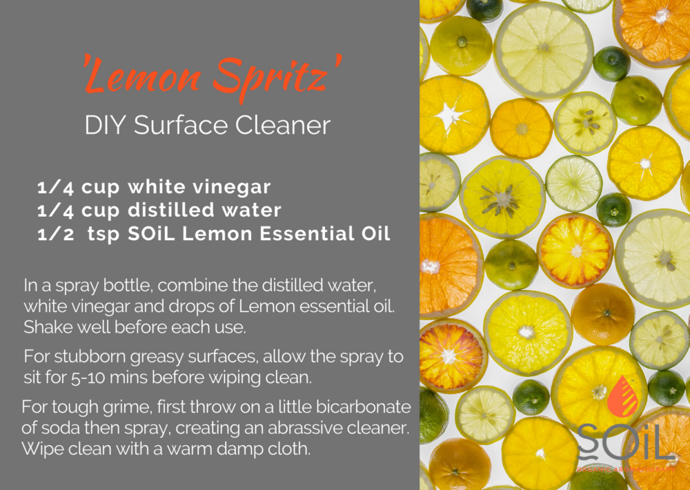 Easy DIY ‘Lemon Spritz’ cleaner recipe – SOiL Organic Aromatherapy and ...