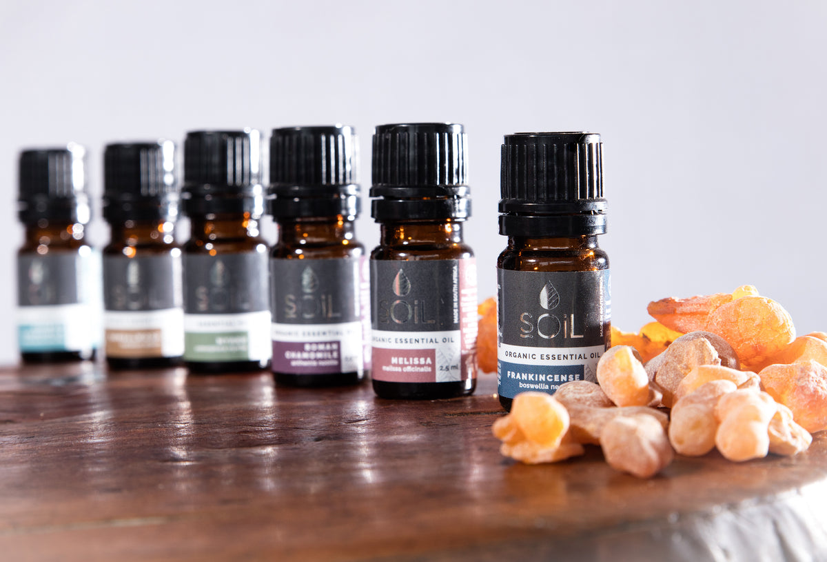 Discover the Best Essential Oil Singles for Your Needs – SOiL Organic ...